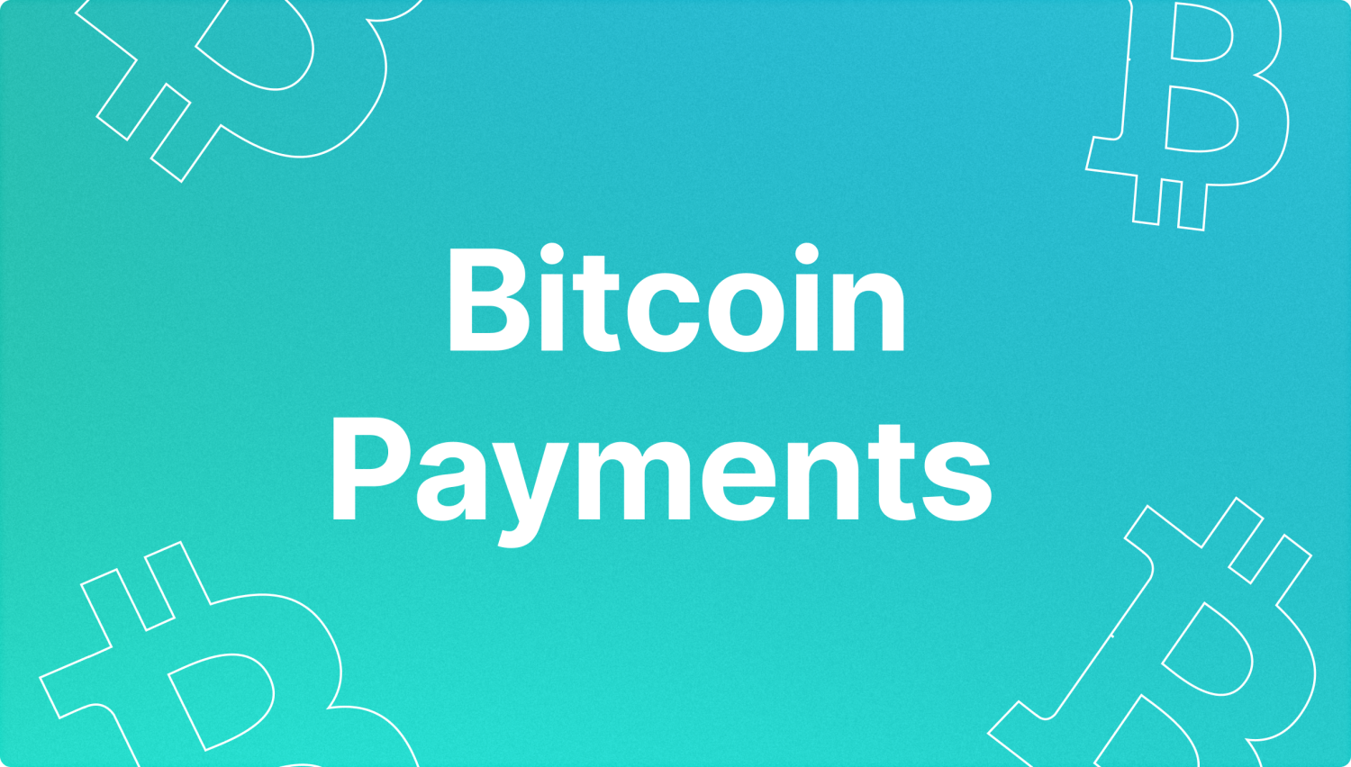 How to Accept Bitcoin Payments as a Business: Detailed Guide