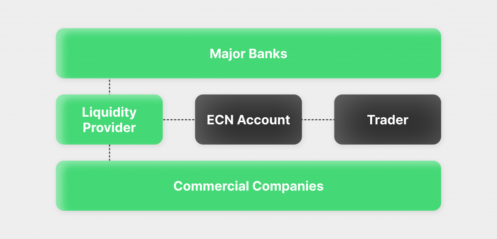 STP vs ECN Forex Brokers: What's The Difference?