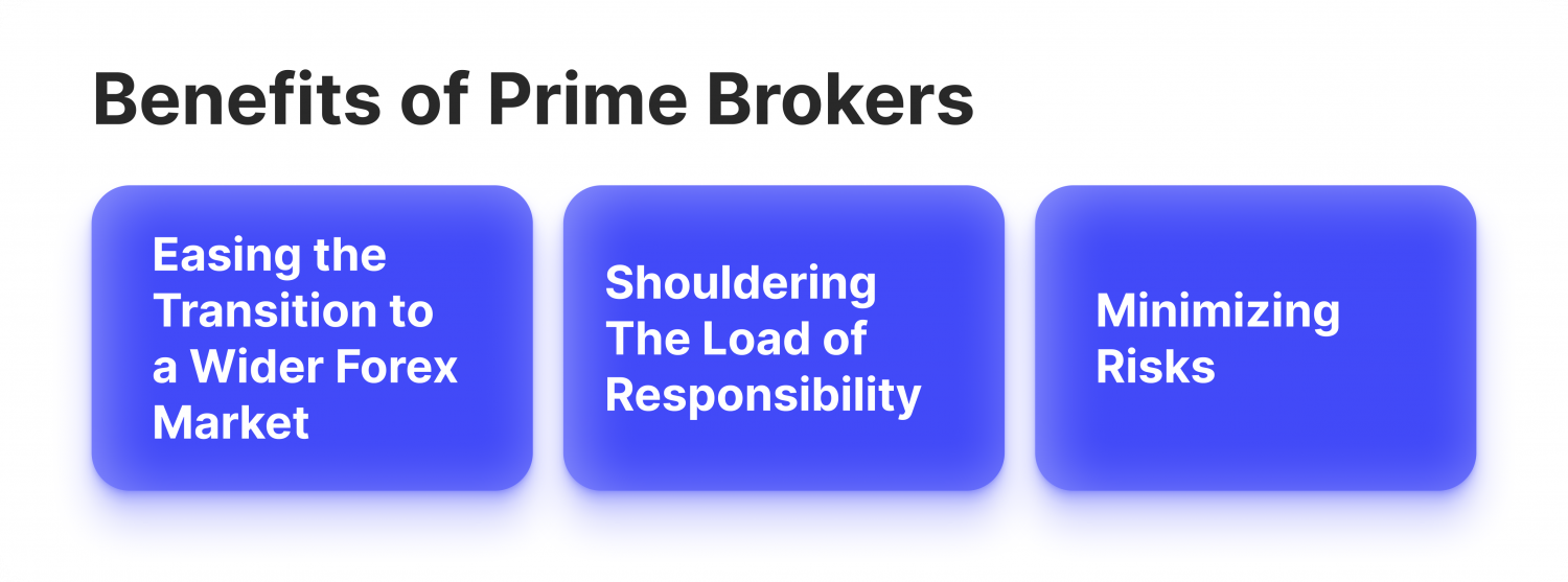 Who Are Forex Prime Brokers? - Article
