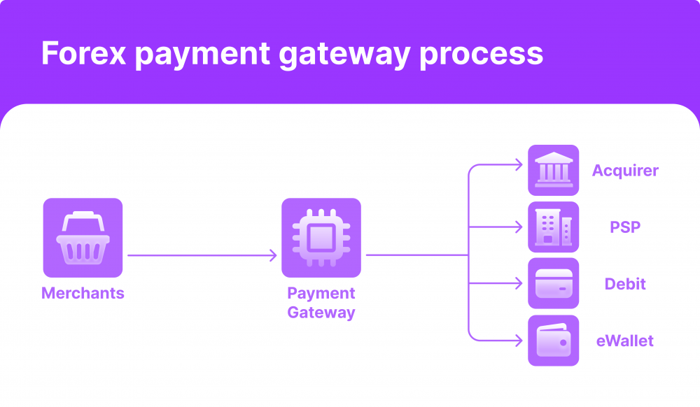 Best Payment Gateway For Forex Brokers and Crypto Exchanges