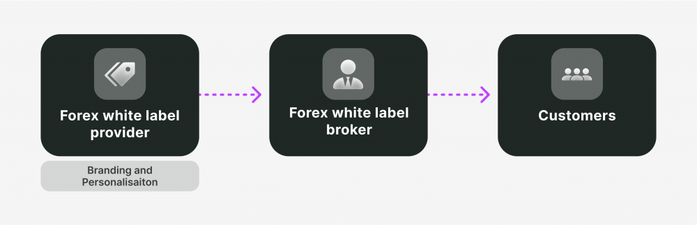 How to Build a White Label Forex Broker Business