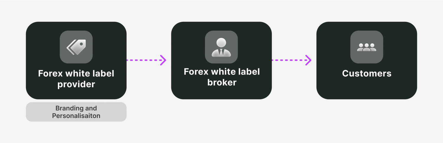 How to Build a White Label Forex Broker Business