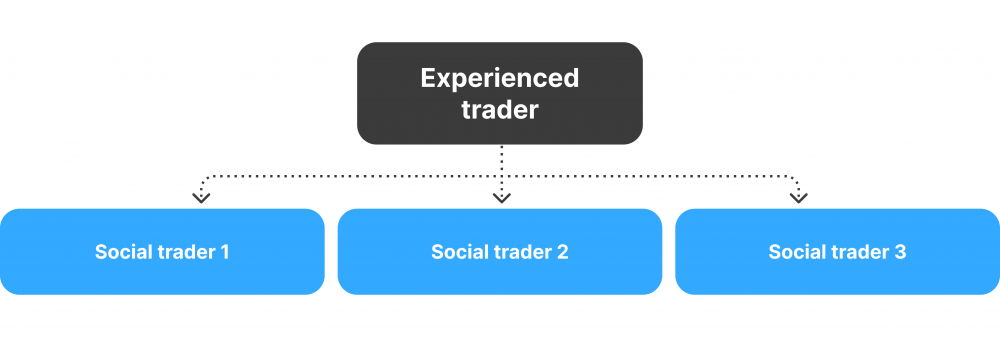 Strumenti di Social Trading Essenziali per Broker su Forex