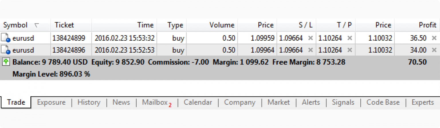 Hedging vs Netting on MT5: Key Differences Explained