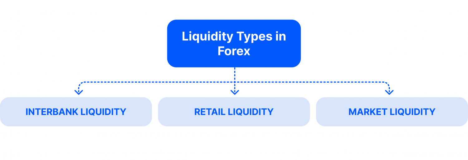 The Role of Liquidity Distribution in the Forex Market