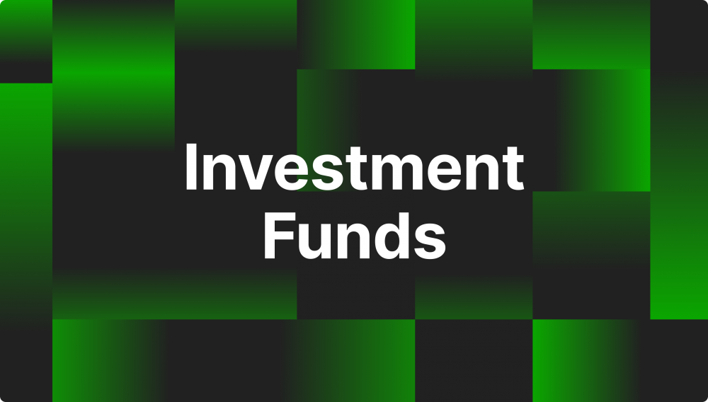 What Are Investment Funds? Where Do They Find Liquidity?