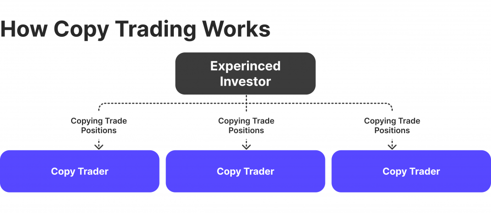 Why is a Copy Trading Tool Essential for Every Brokerage?