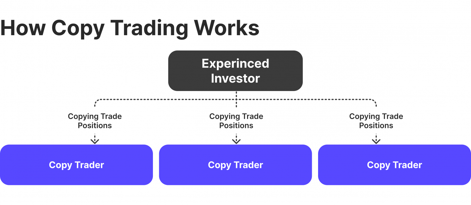 Why is a Copy Trading Tool Essential for Every Brokerage?