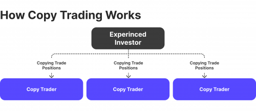 Why is a Copy Trading Tool Essential for Every Brokerage?