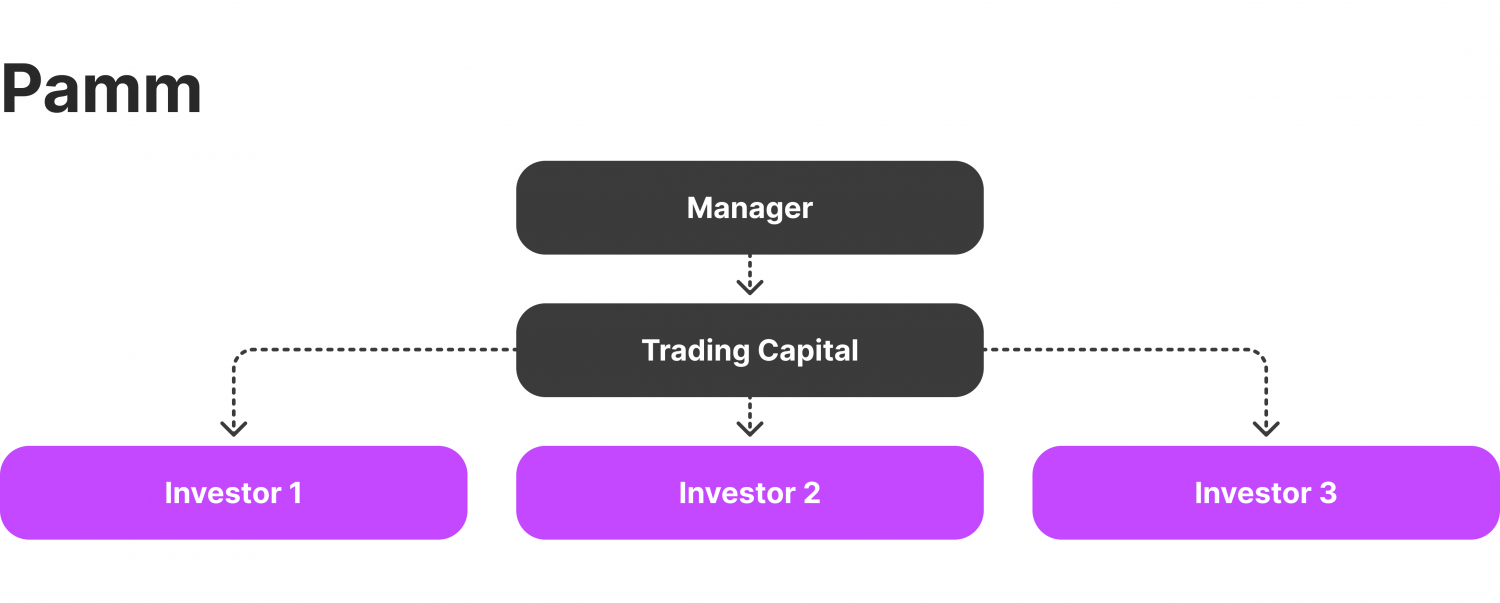 如何在2024年成为PAMM账户经纪人