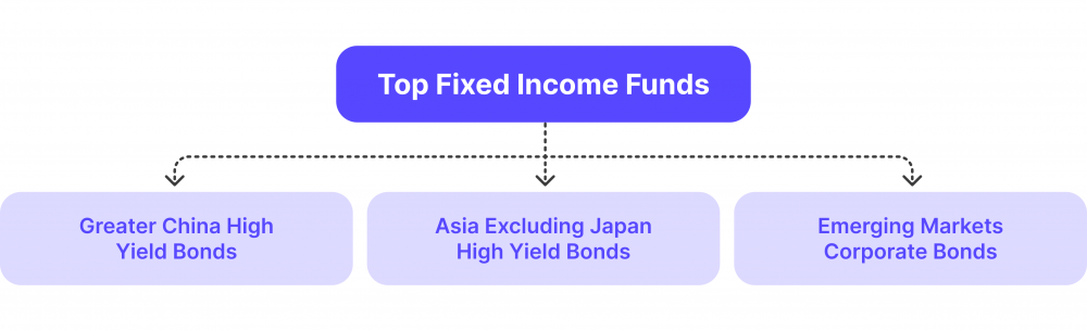 Top Fixed Income Funds for Investment