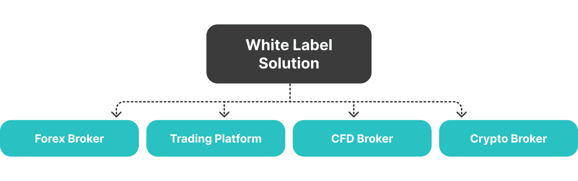 How to Start a White-Label Broker in 2025 — Complete Guide